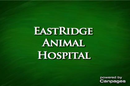 Eastridge Animal Hospital - Maple Ridge, BC - 22838 Lougheed Hwy | Canpages